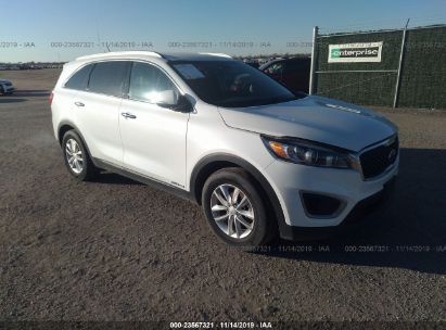 Salvage Cars for Sale | IAA-Insurance Auto Auctions