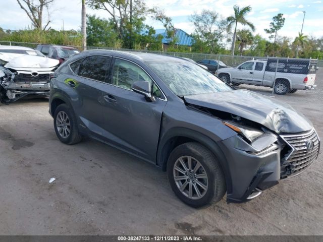 JTJDJRDZ4L2142966, 2020 Lexus Nx Nx 300h on IAAI