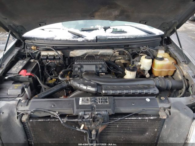 1FTPW14538FA39845, 2008 Ford F-150 60th Anniversary/fx4/king Ranch ...