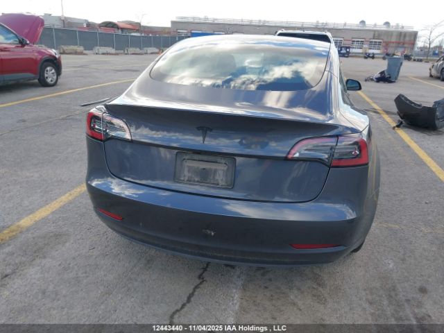 LRW3E1FA0PC933777, 2023 Tesla Model 3 Rwd vehicle history